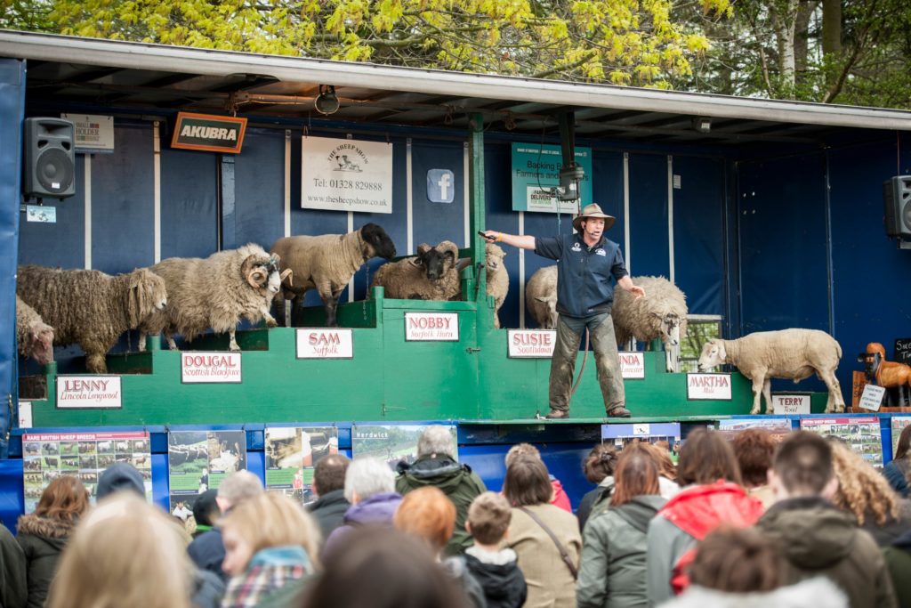 gallery - East Anglian Game & Country Fair
