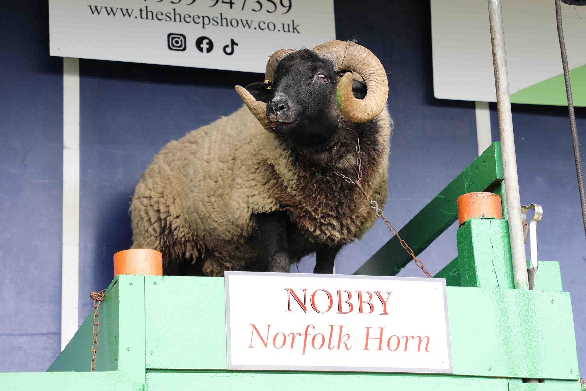 Children's Attractions - East Anglian Game & Country Fair